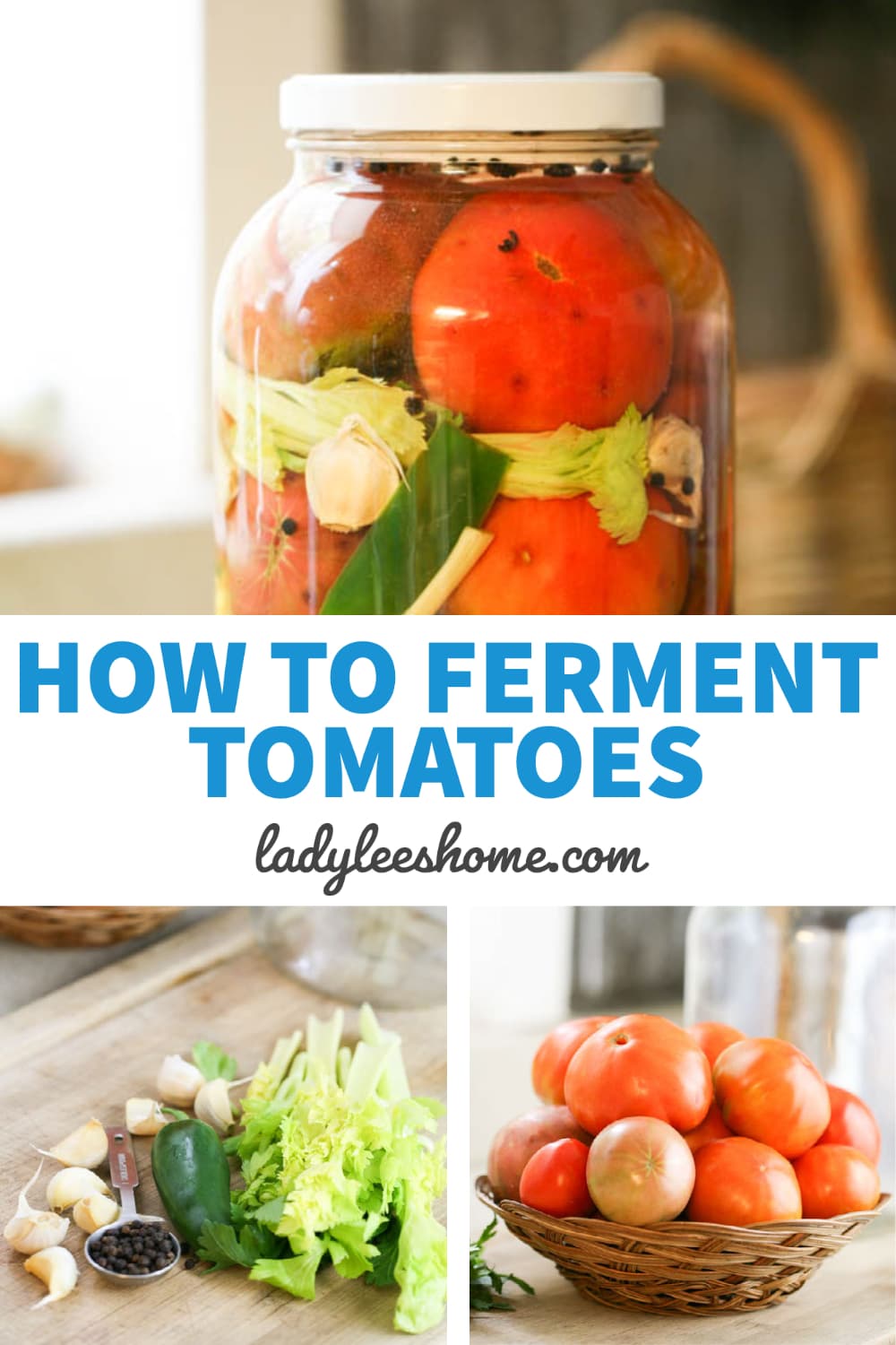 Fermenting Tomatoes Step By Step - Lady Lee's Home