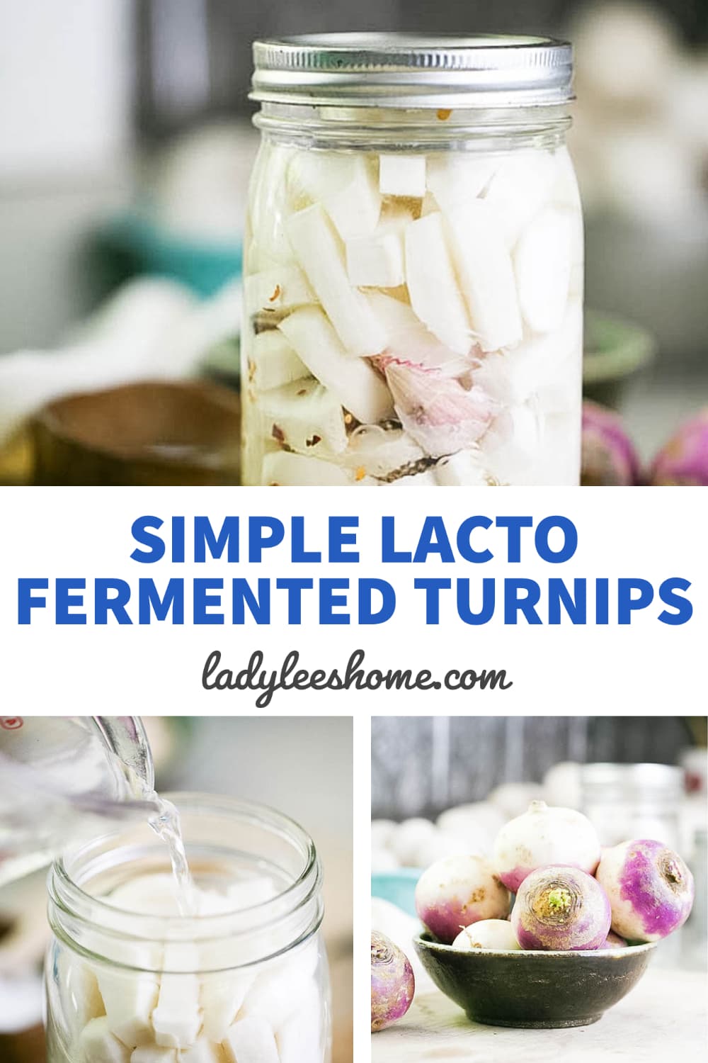 Fermenting Turnips Step By Step - Lady Lee's Home