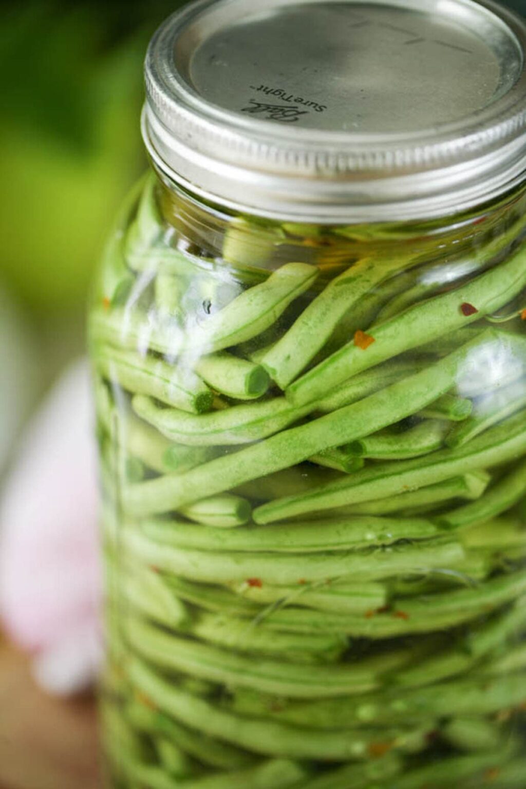 Lacto-Fermented Green Beans - Lady Lee's Home