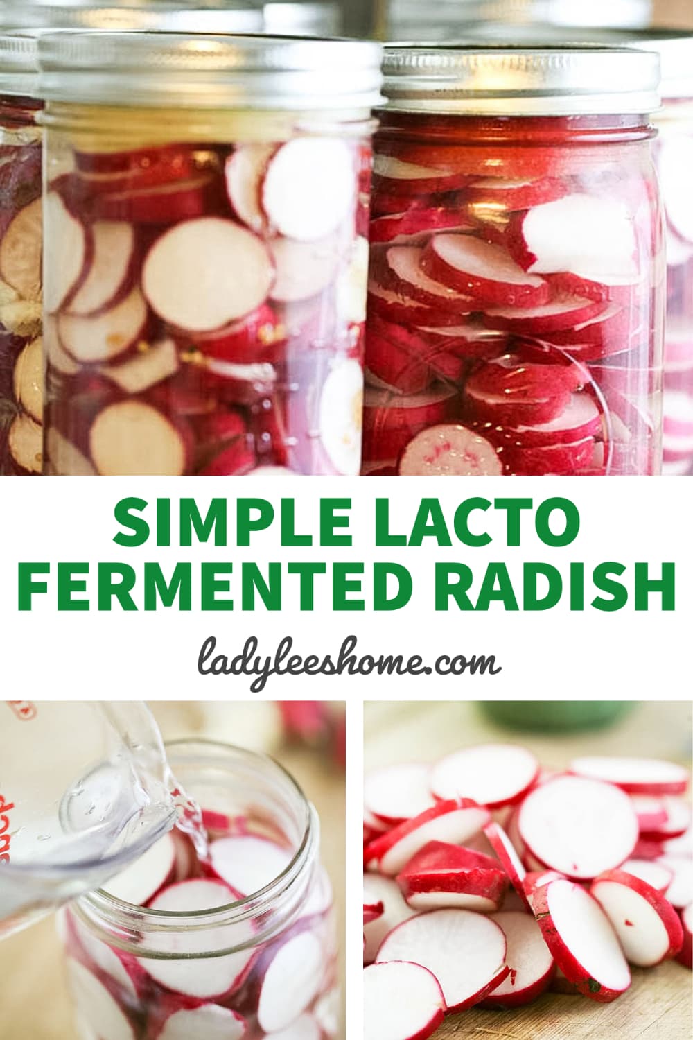 Easy Fermented Radish Recipe - Lady Lee's Home