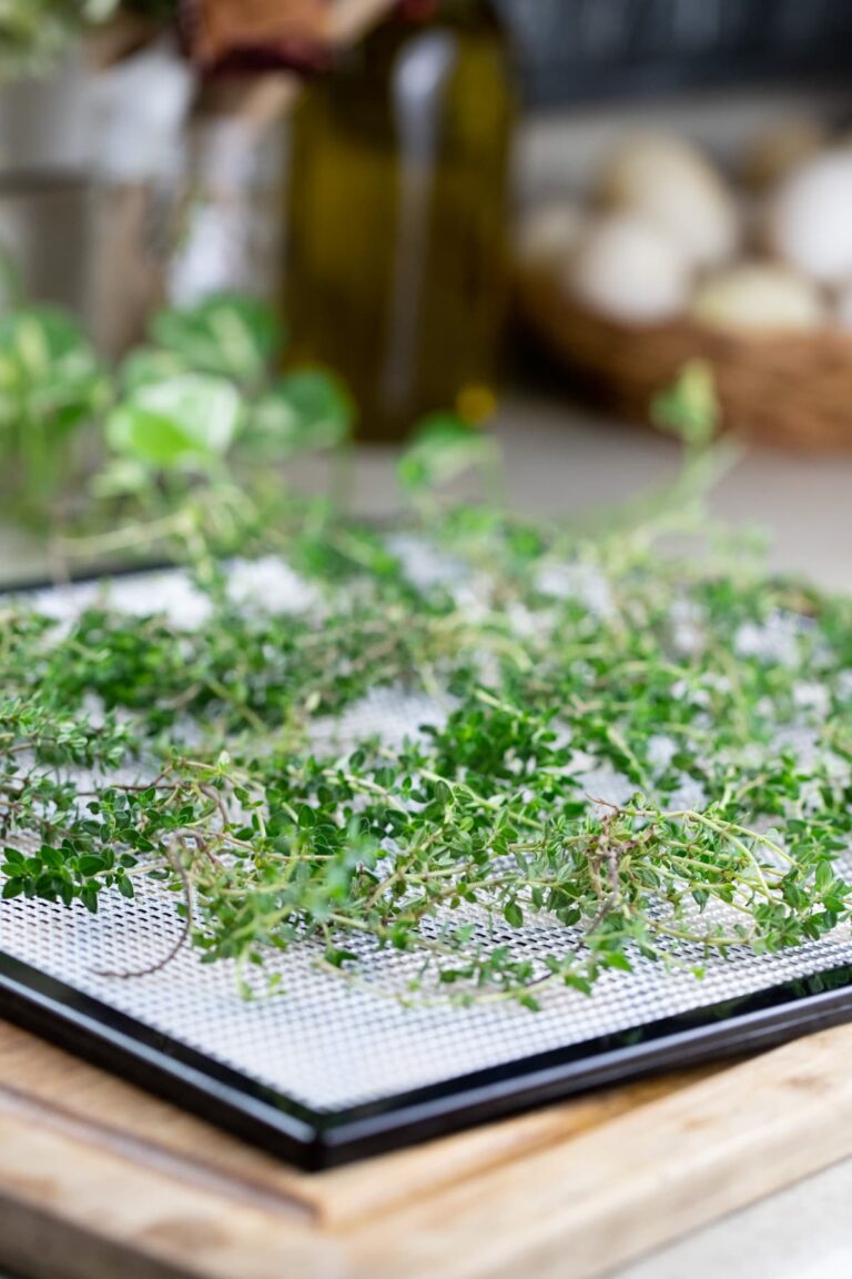 How to Dry Thyme - Lady Lee's Home