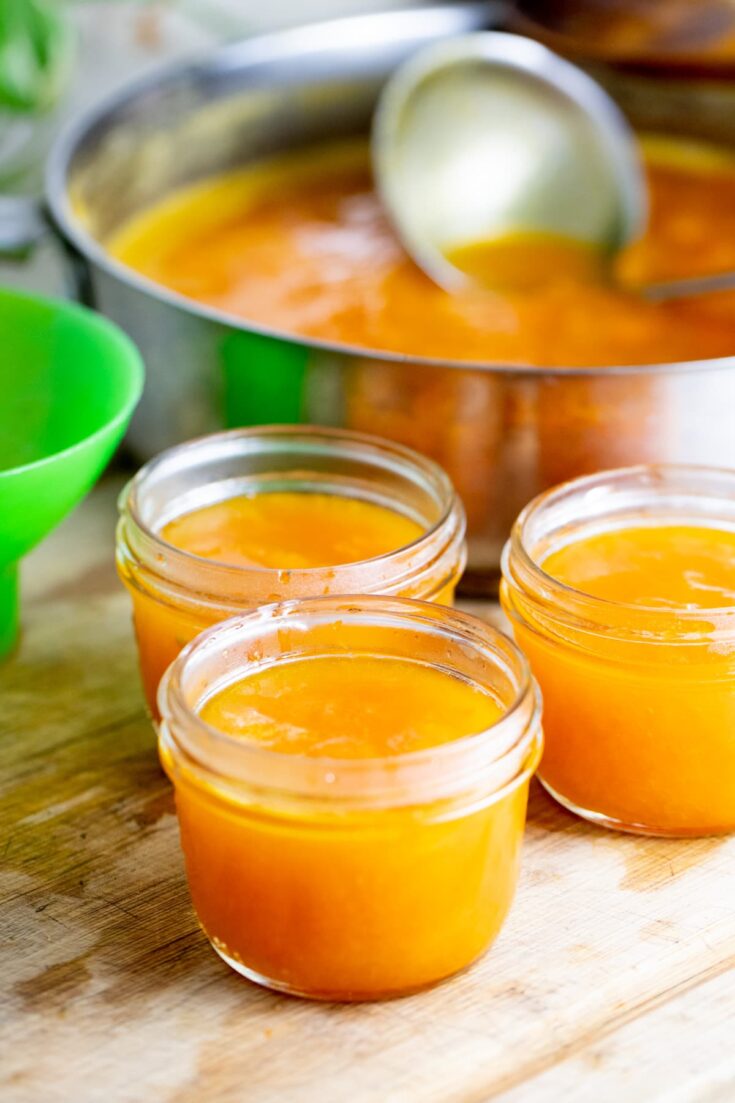 Simple Orange Jam Recipe For Canning - Lady Lee's Home
