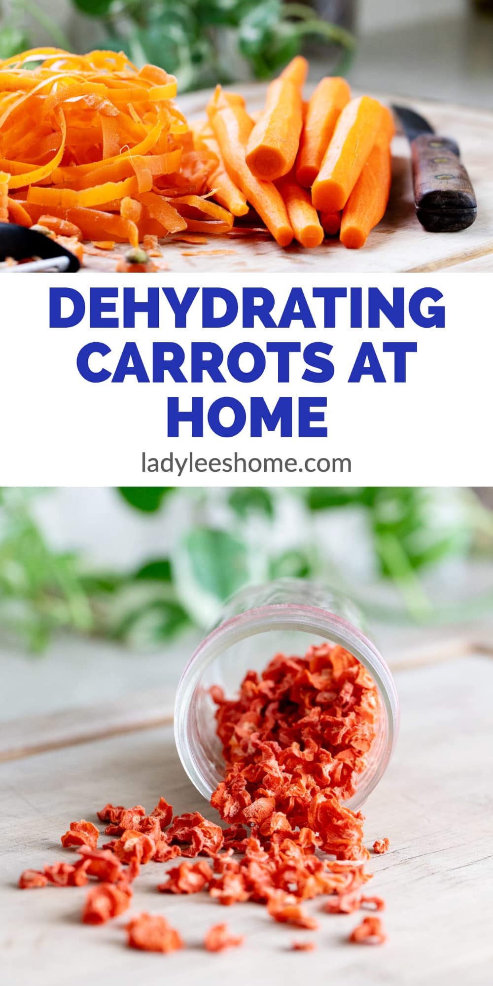 Dehydrating Carrots - Lady Lee's Home