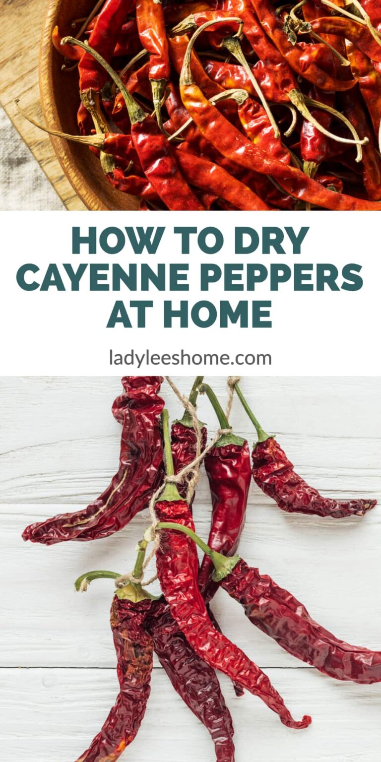 How to Dry Cayenne Pepper - Lady Lee's Home