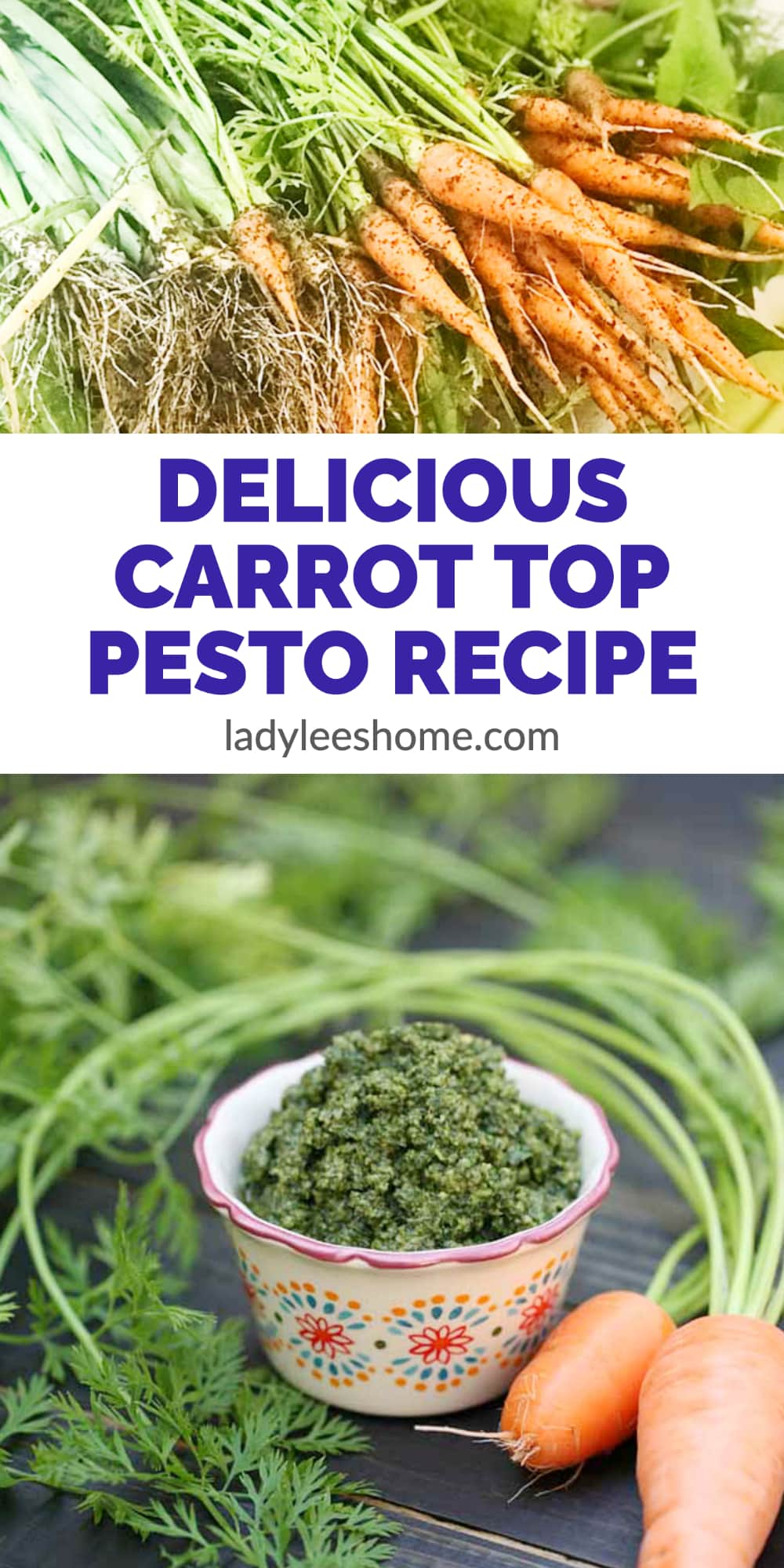 Carrot Top Pesto Recipe - Lady Lee's Home