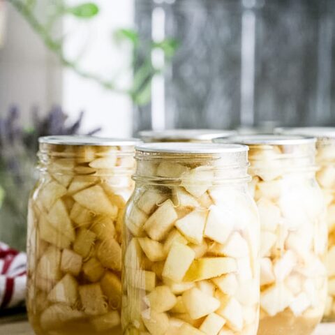 Canning Apples in Light Syrup - Lady Lee's Home