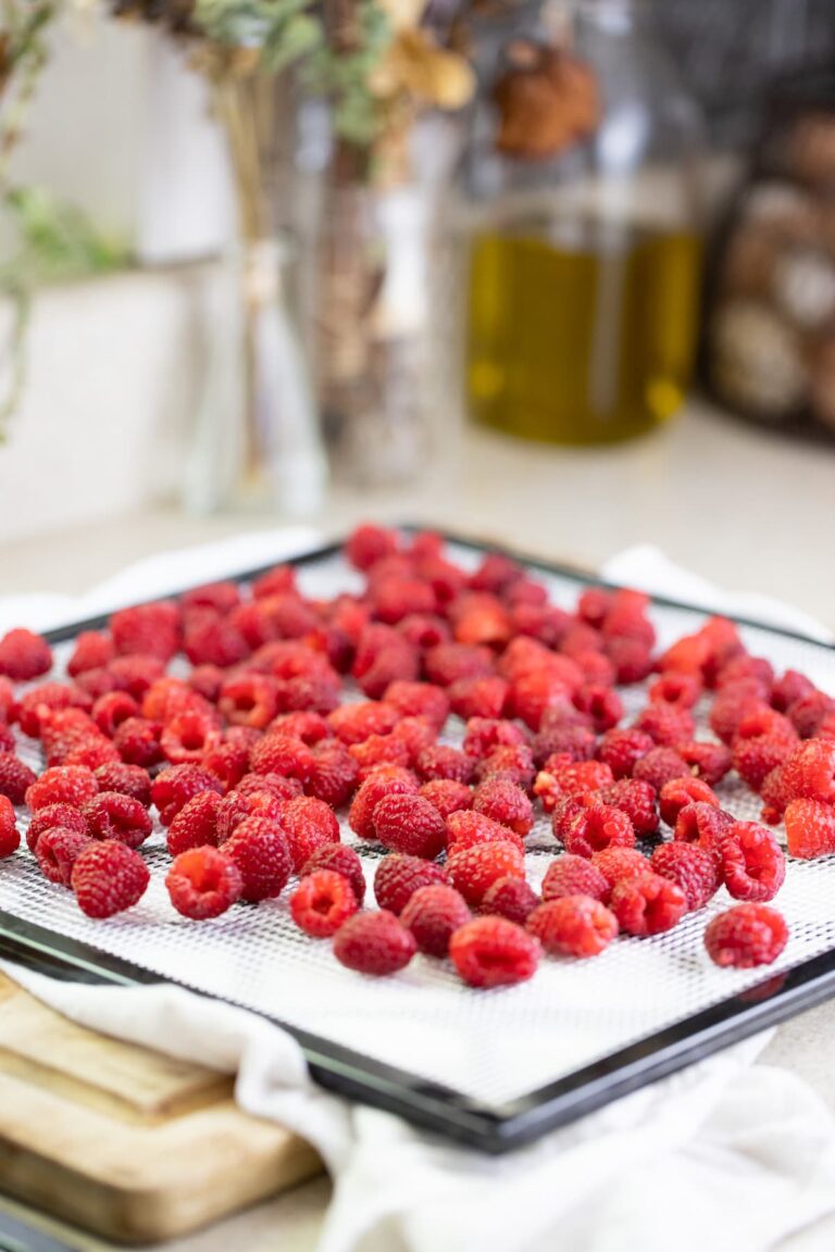 Dehydrating Raspberries - Lady Lee's Home