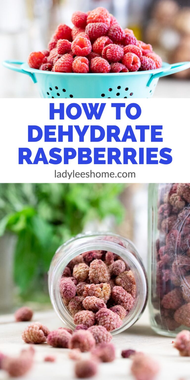 Dehydrating Raspberries - Lady Lee's Home