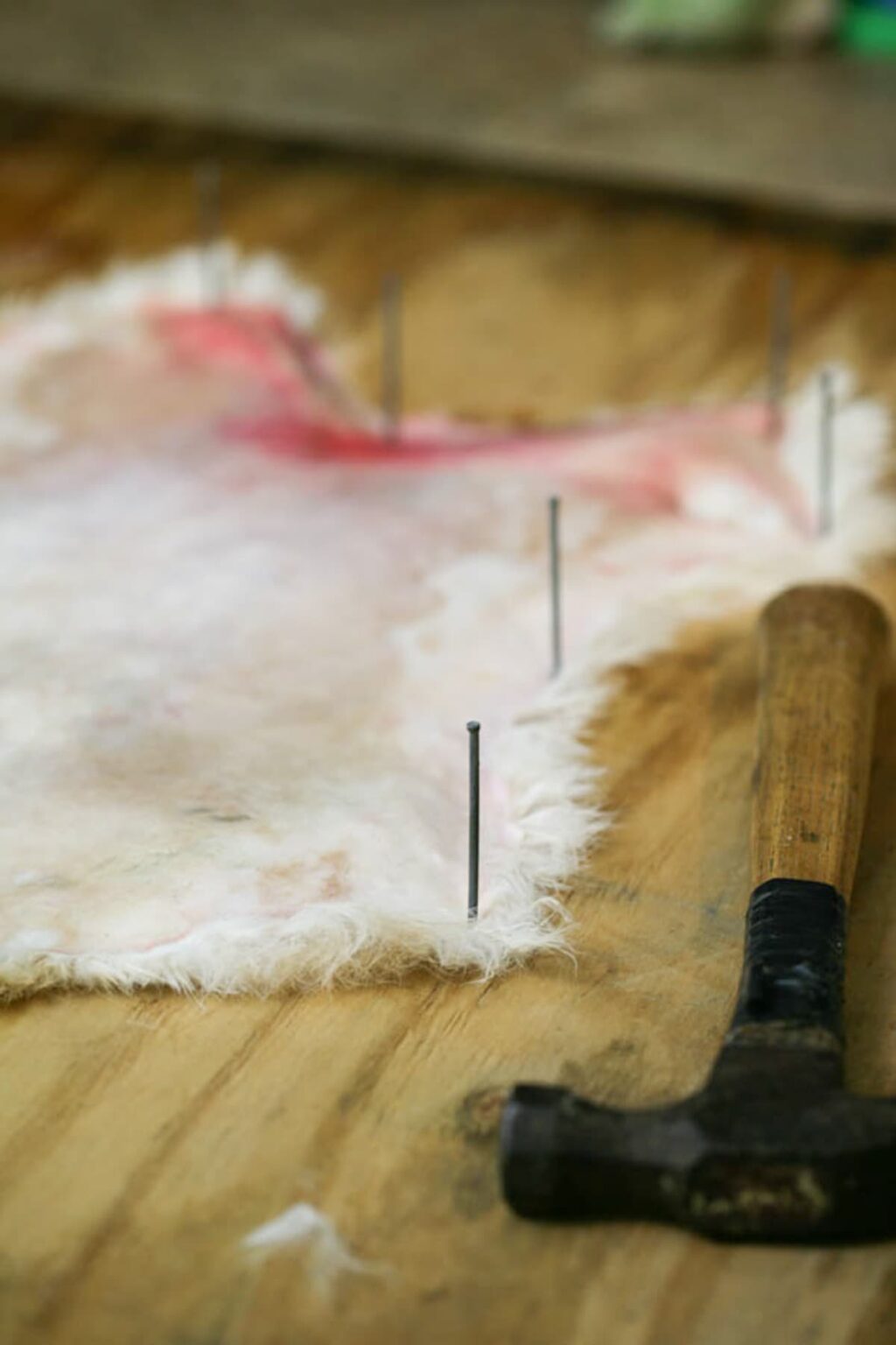 How to Tan A Rabbit Hide - Lady Lee's Home