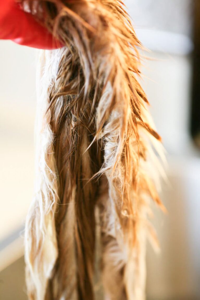 How to Tan A Rabbit Hide - Lady Lee's Home