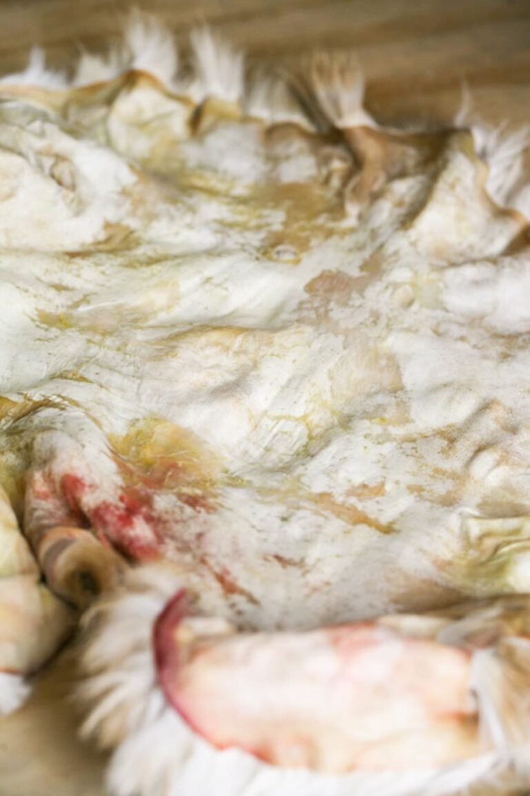 How to Tan A Rabbit Hide - Lady Lee's Home