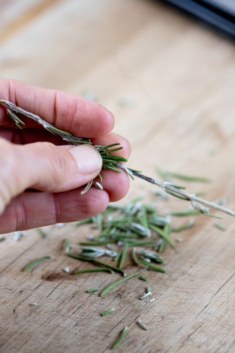 How to Dry Rosemary - Lady Lee's Home
