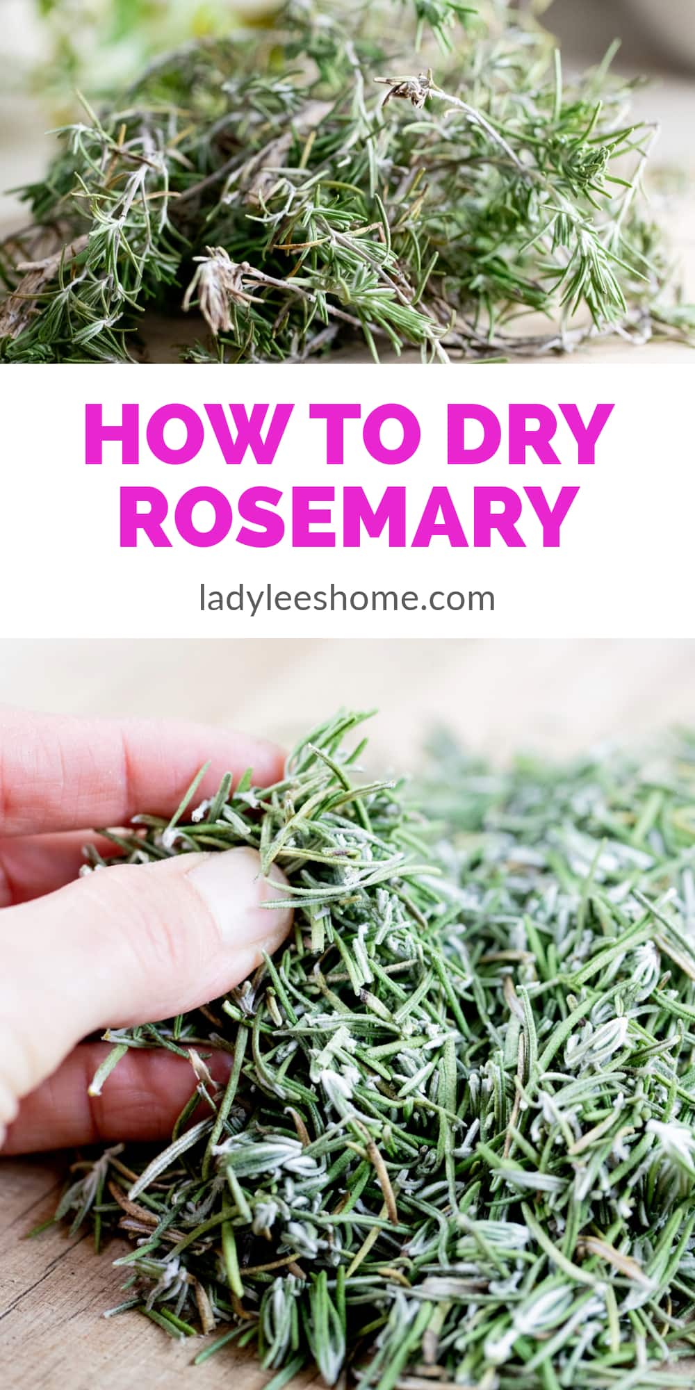 How to Dry Rosemary - Lady Lee's Home