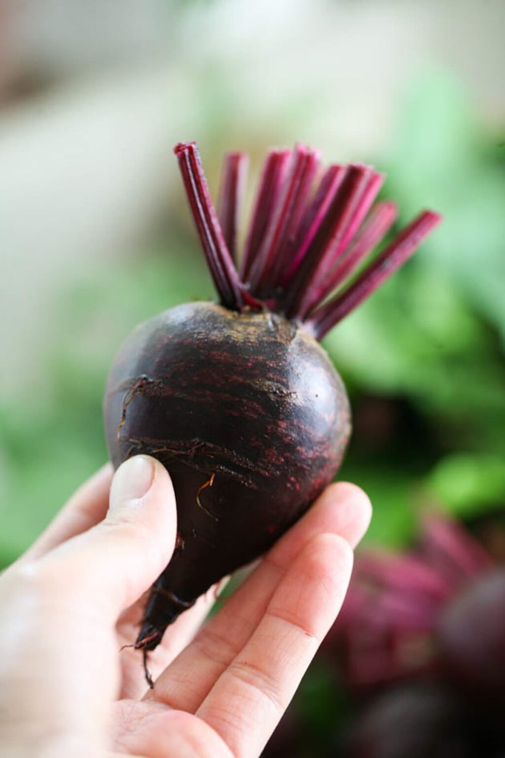 The Ultimate Guide to Canning Beets - Lady Lee's Home