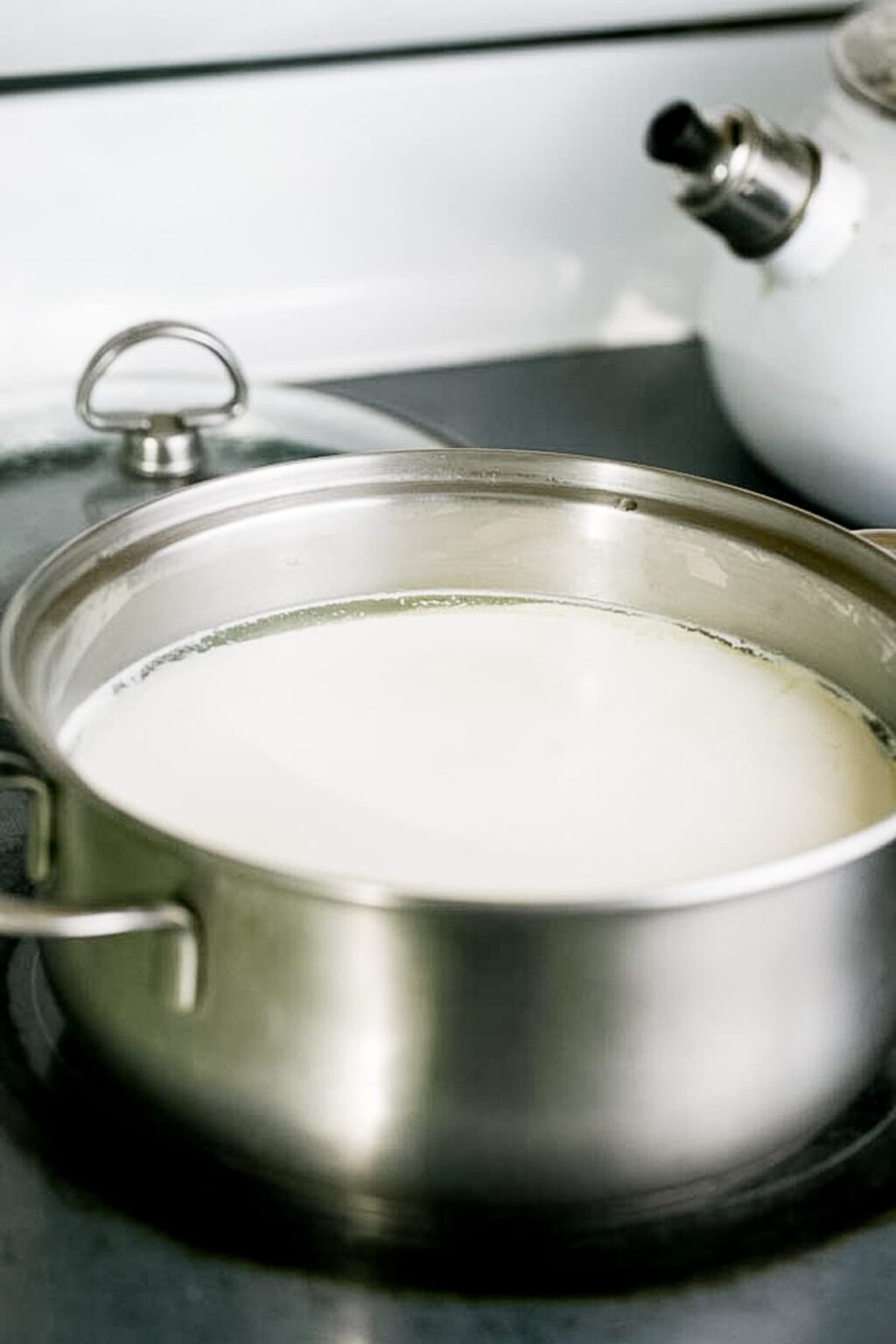 How to Make Goat Cheese - Lady Lee's Home